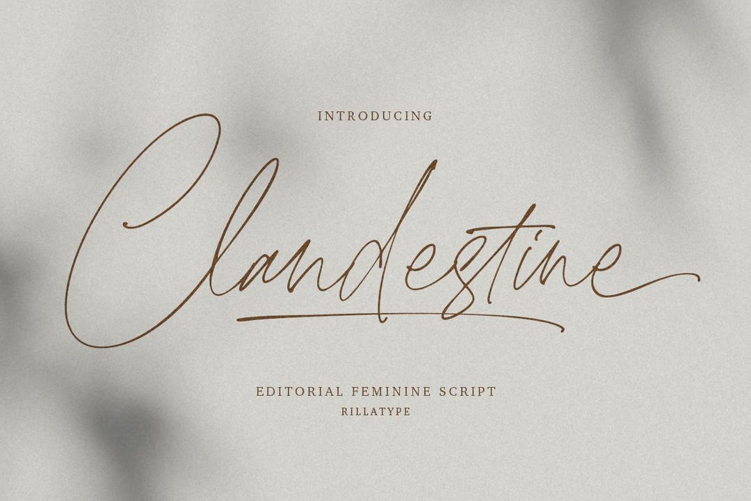 Clandestine Script, Elegant Fonts Modern Fonts, Magazine Font, Script ...