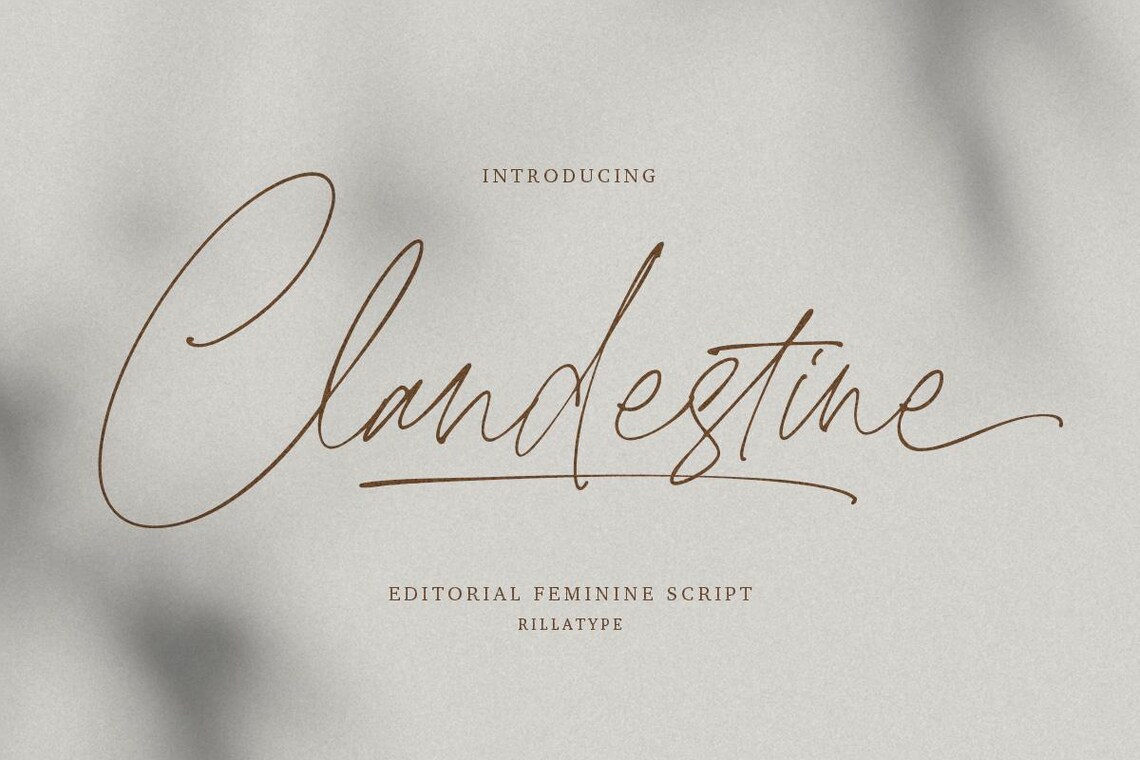 Clandestine Script Font: Elegant Feminine Wedding Font - Etsy