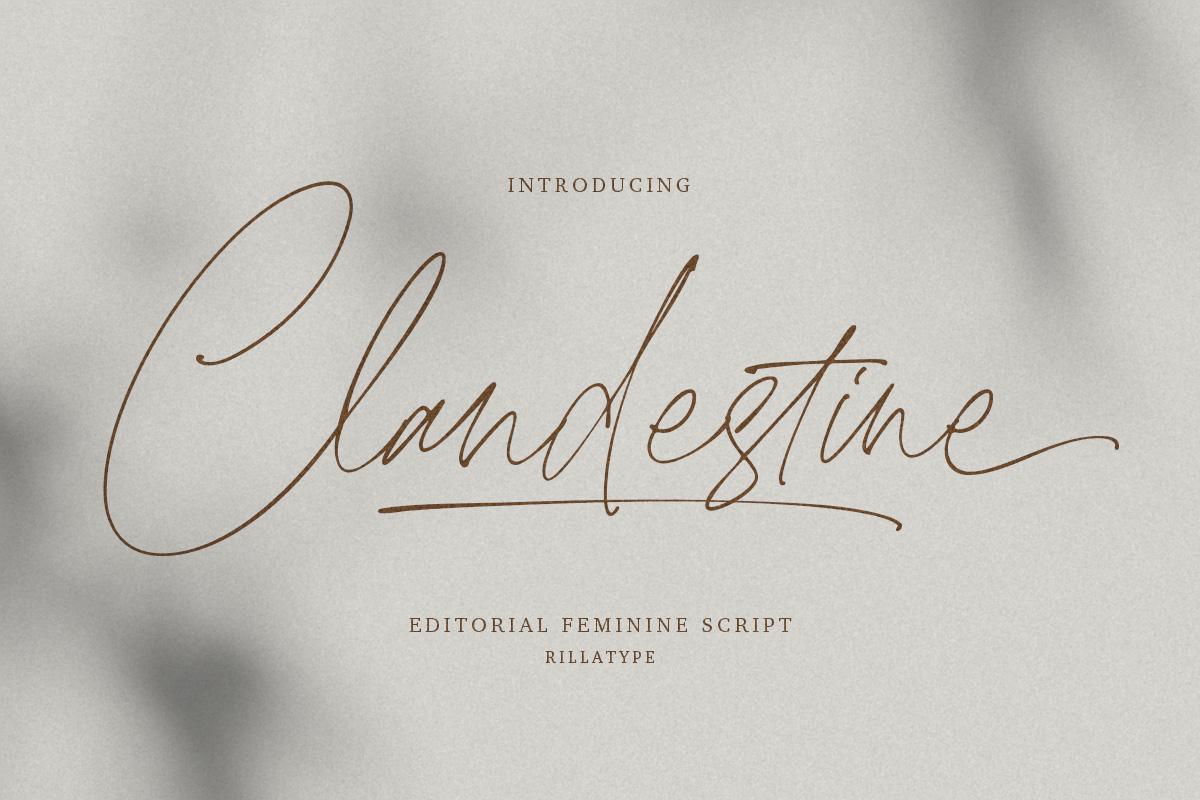 Clandestine Script, Elegant Fonts Modern Fonts, Magazine Font, Script ...
