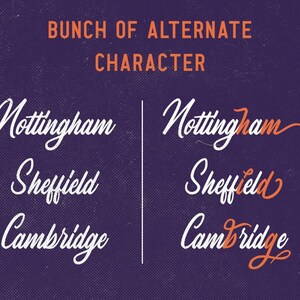 The Greyhound Font Duo: Retro Script & Sans (+bonus) - Etsy