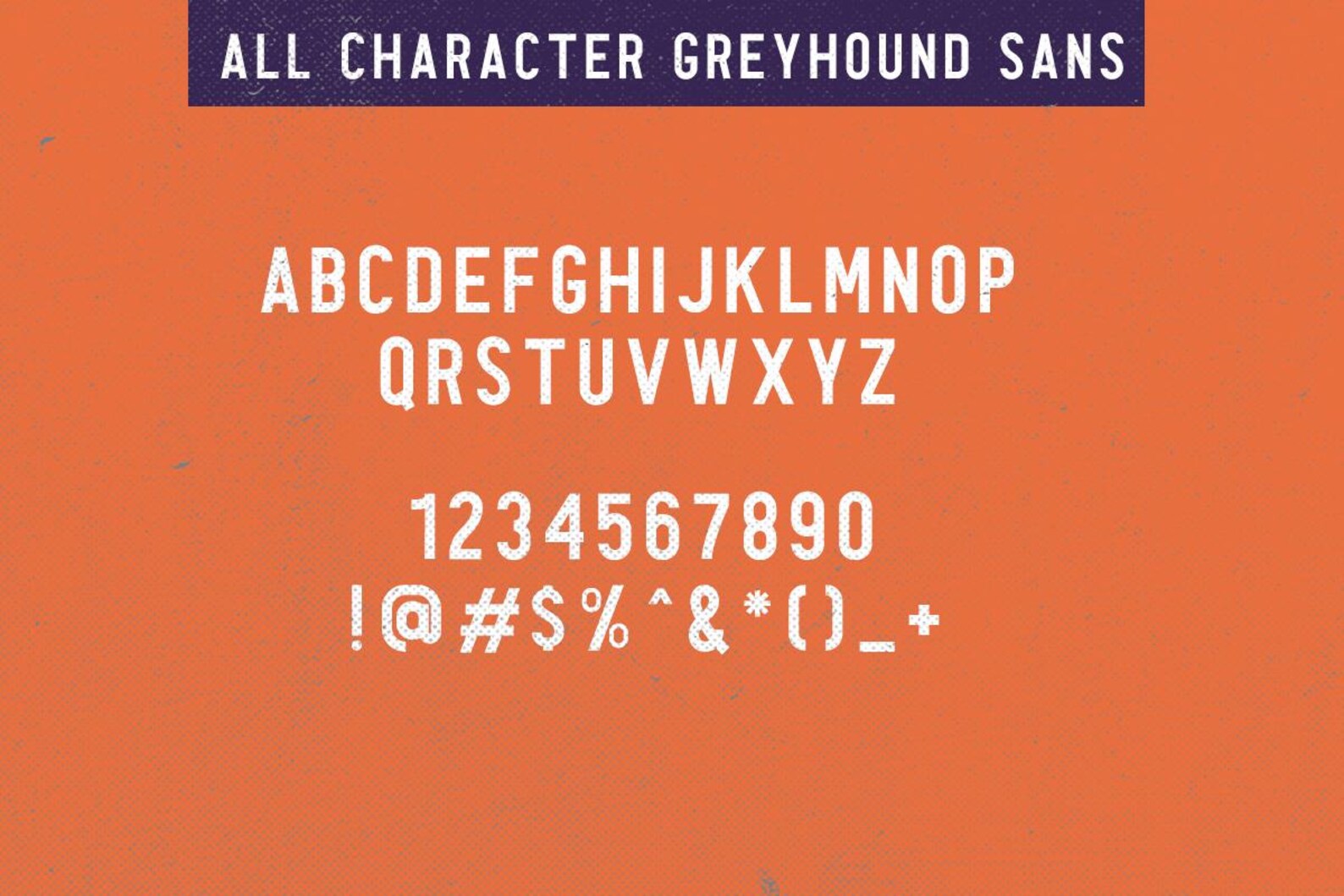 The Greyhound Font Duo: Retro Script & Sans (+bonus) - Etsy