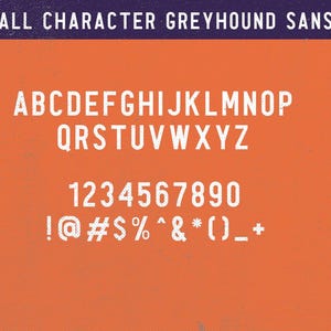 The Greyhound Font Duo: Retro Script & Sans (+bonus) - Etsy