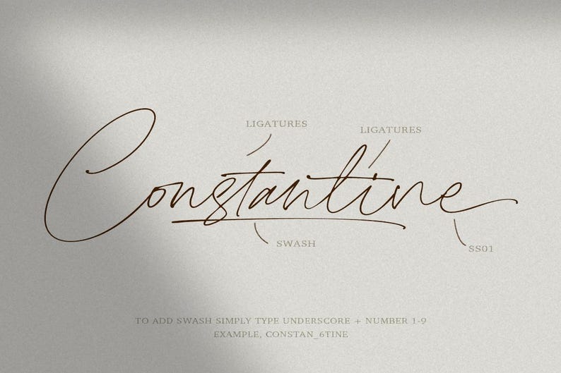 Clandestine Script, Elegant Fonts Modern Fonts, Magazine Font, Script Font, Wedding Font ...