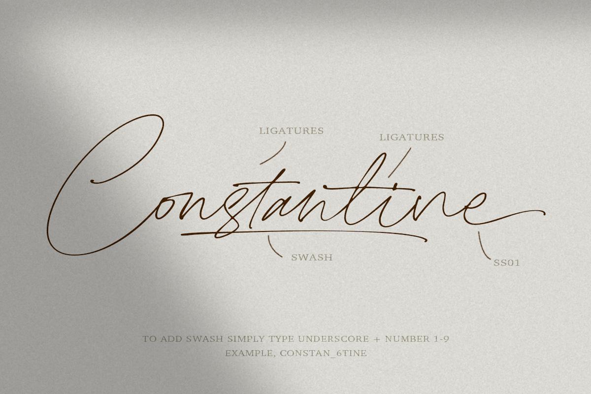 Clandestine Script, Elegant Fonts Modern Fonts, Magazine Font, Script ...
