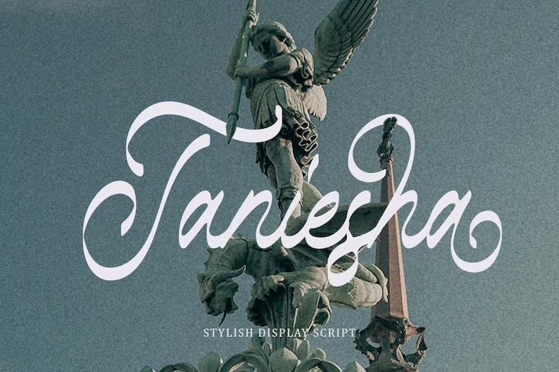 Taniesha Fancy Script Font: Elegant Swash Cursive - Etsy