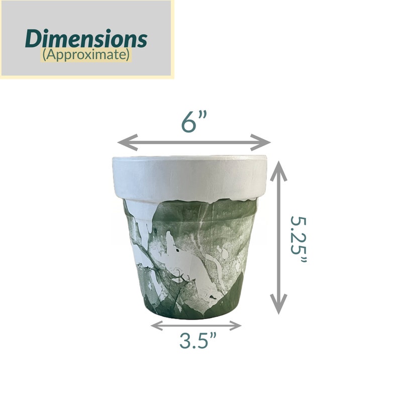 6 Inch Terracotta Plant Pot Clay Flower Pot With Drainage Hole Fall ...