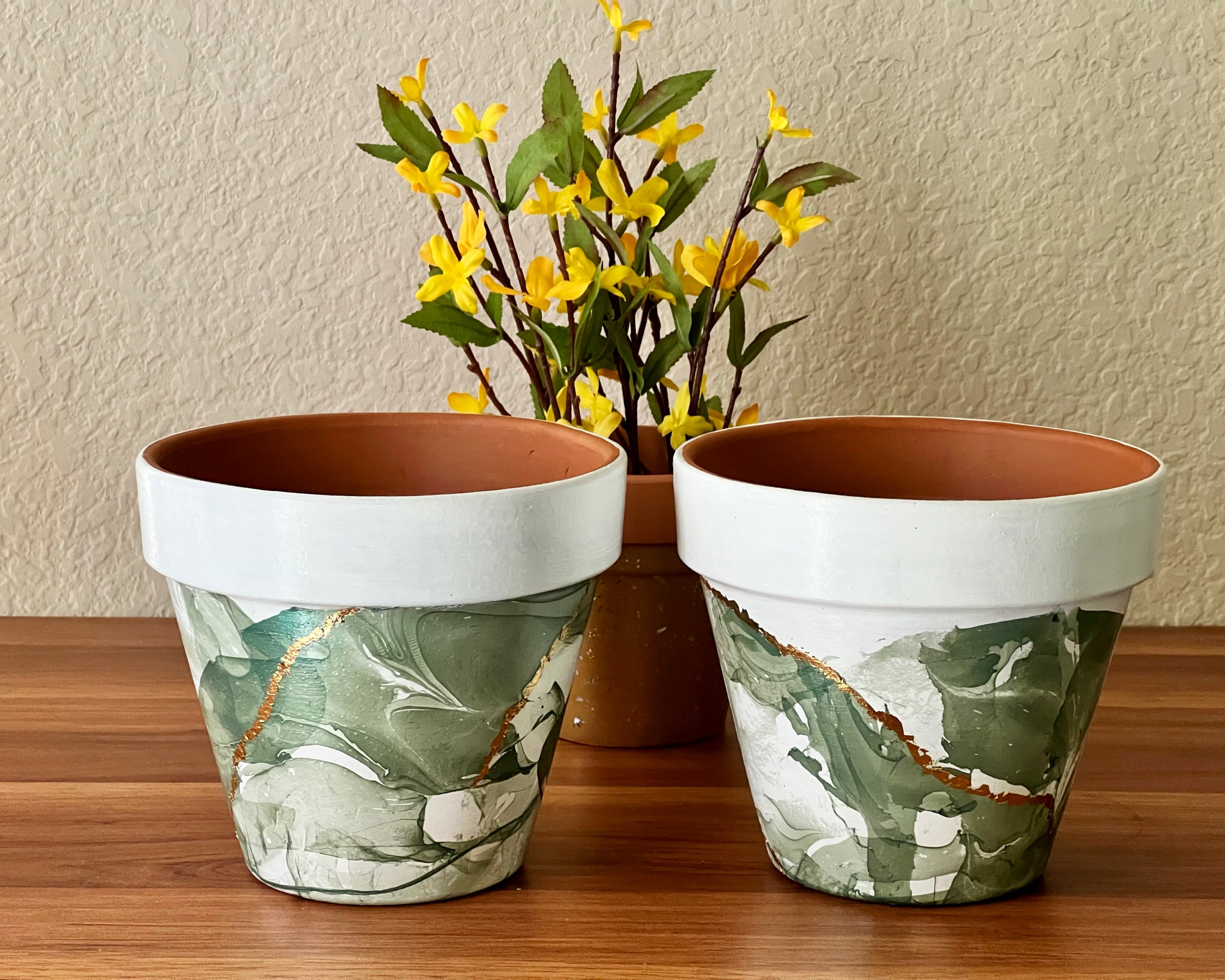 6 Inch Terracotta Plant Pot- Clay Flower Pot With Drainage Hole- Fall ...