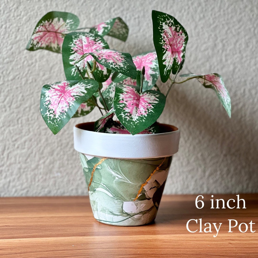6 Inch Terracotta Plant Pot- Clay Flower Pot With Drainage Hole- Fall ...