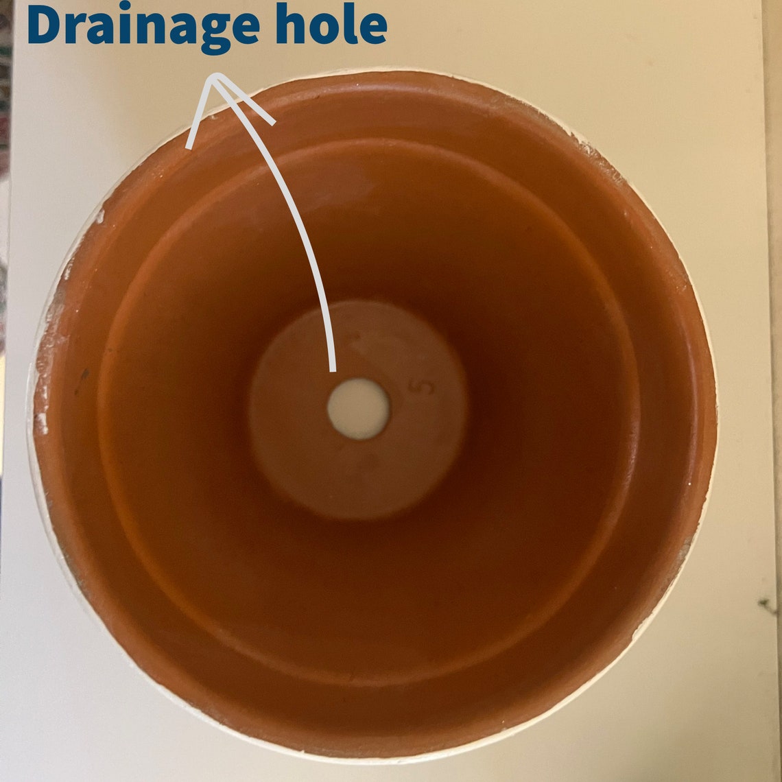 6 Inch Terracotta Plant Pot Clay Flower Pot With Drainage Hole Fall ...