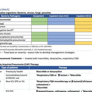 Antibiotics Cheat Sheet - Etsy