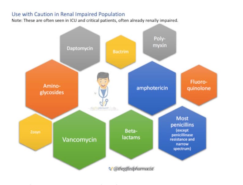 Antibiotics Cheat Sheet - Etsy