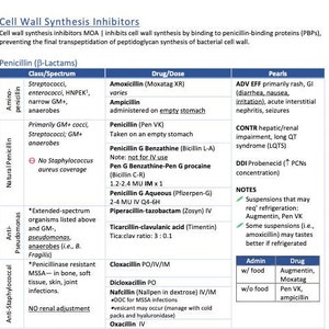 Antibiotics Cheat Sheet - Etsy