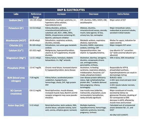 Simple Guide to Common Adult Lab Values - Etsy