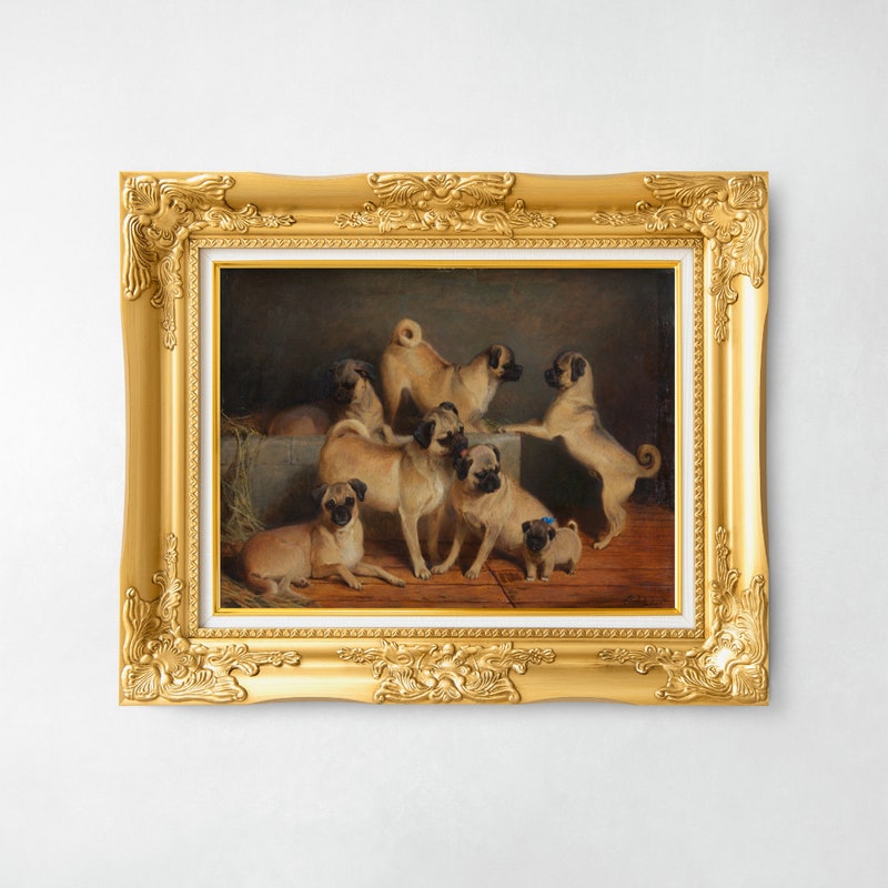 Money Money Pug - Etsy