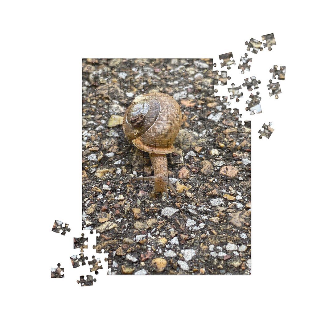 Snail Puzzle, Jigsaw Puzzles for Adults, Puzzle Games, Nature Lover ...