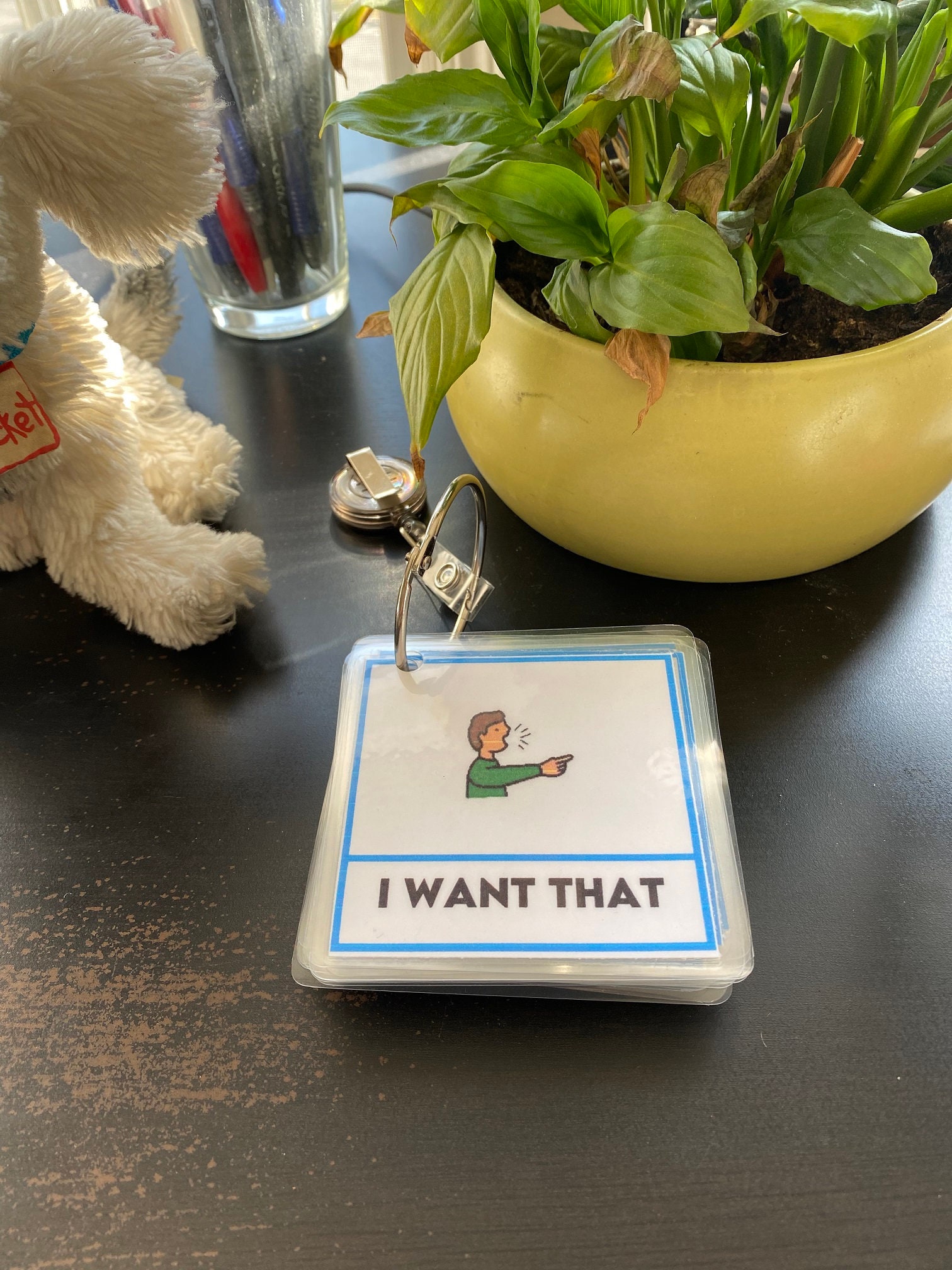 Autism Visual Picture Communication Keyring Cards (36 Images) | Digital ...