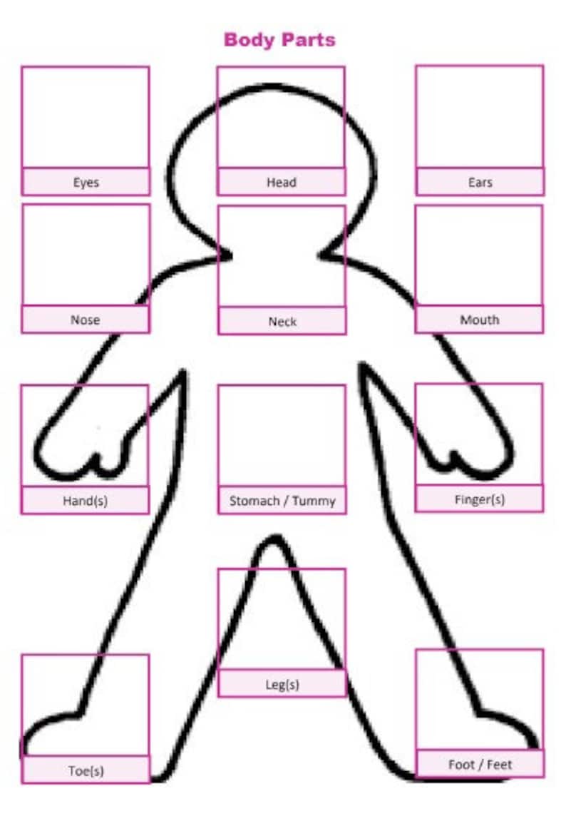 Autism PECS Pages (clothes & Body Parts) DIGITAL DOWNLOAD | Non-verbal ...