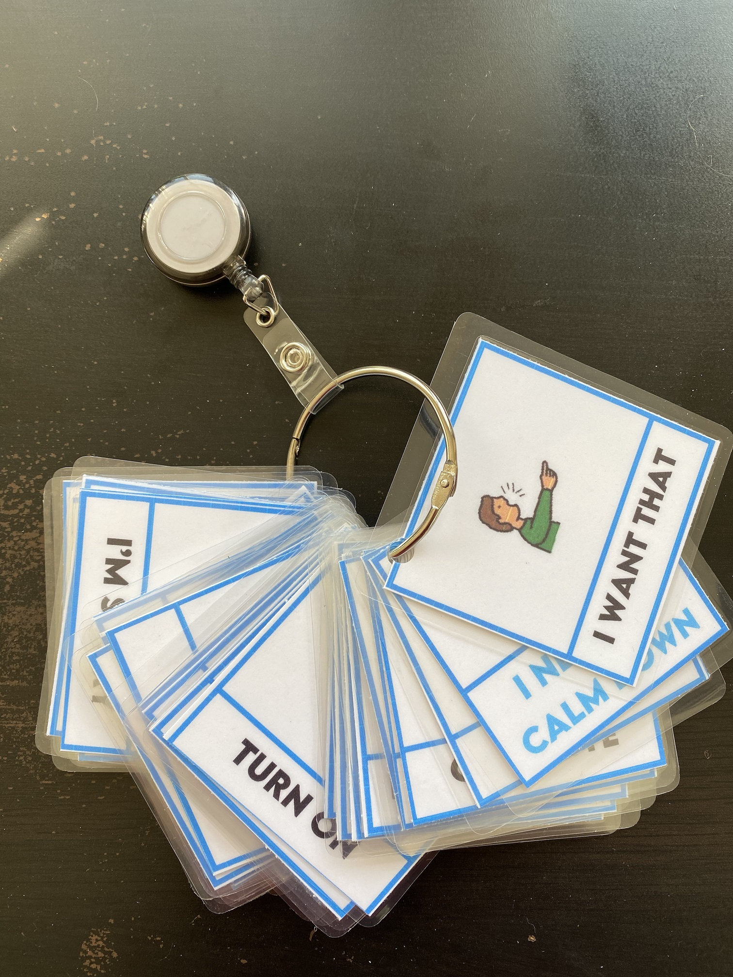 Autism Visual Picture Communication Keyring Cards (36 Images) | Digital ...