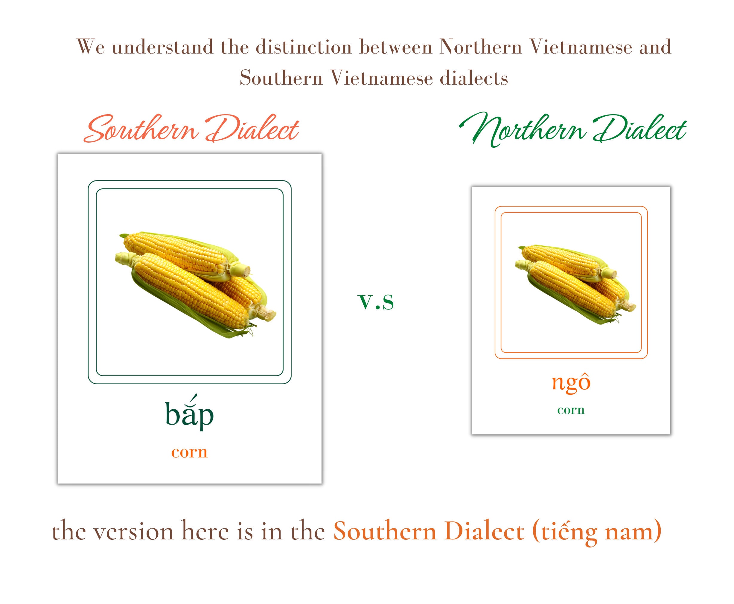 Southern Vietnamese Dialect 48fruits and Vegetable Flash Cards for ...