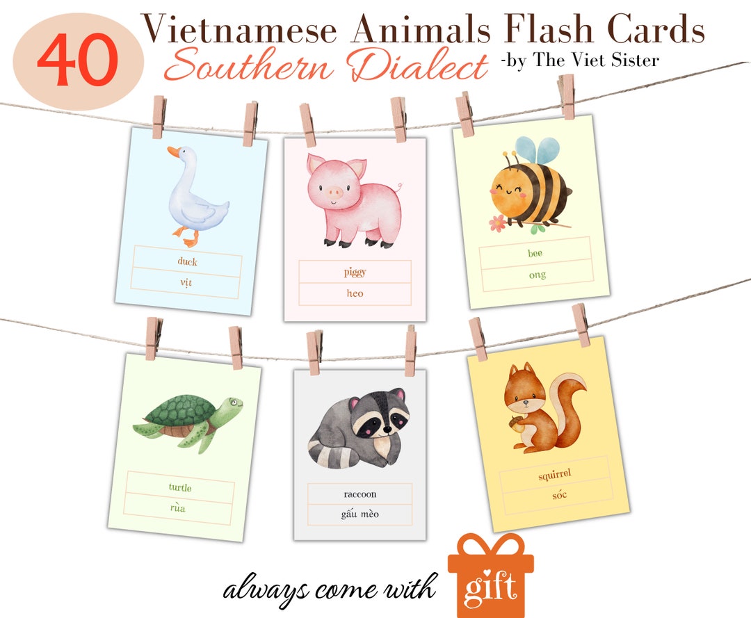 Southern Vietnamese Animal Flashcards: Bilingual Learning (digital ...