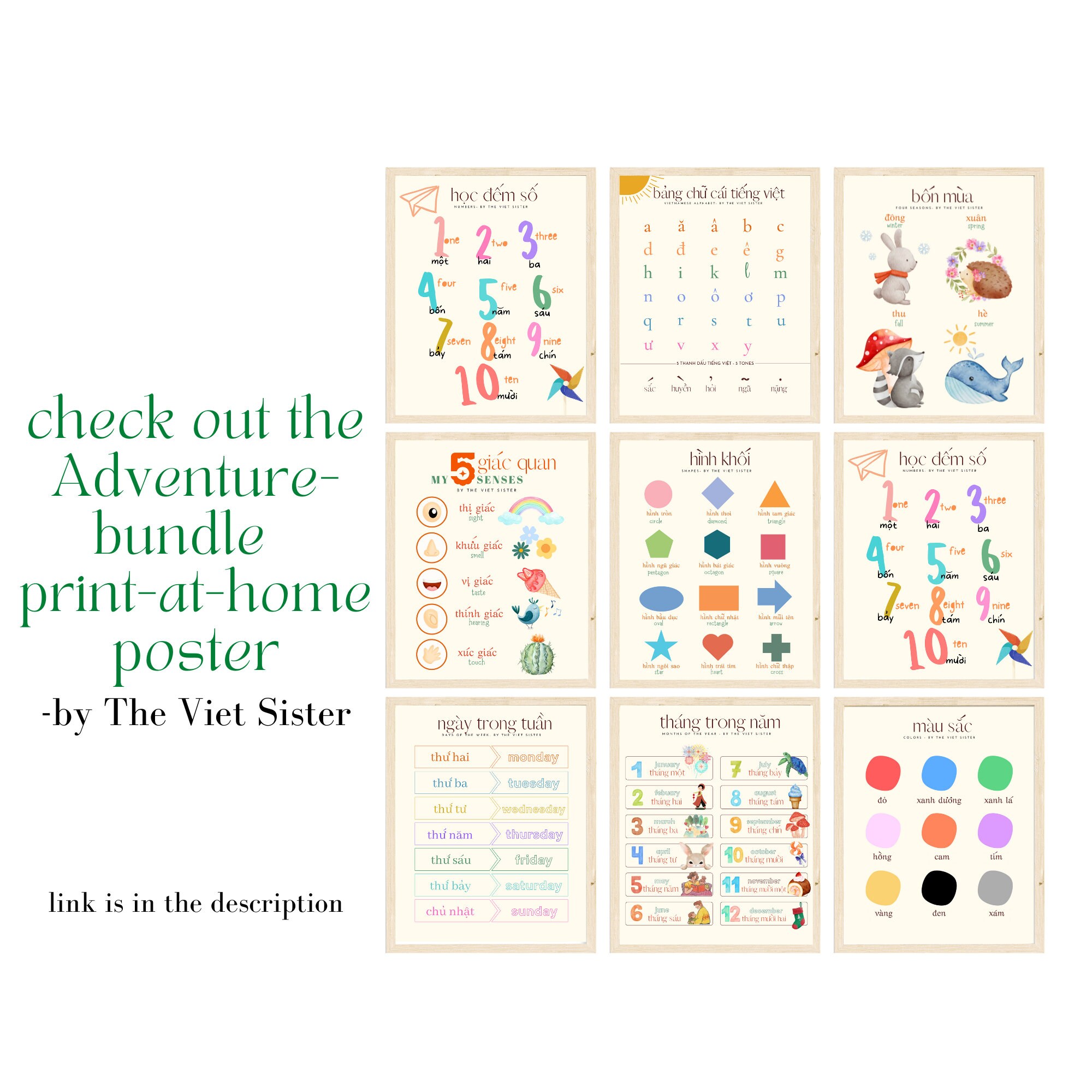 Northern Vietnamese Dialect Fruits and Vegetable Flash Cards. Learning ...