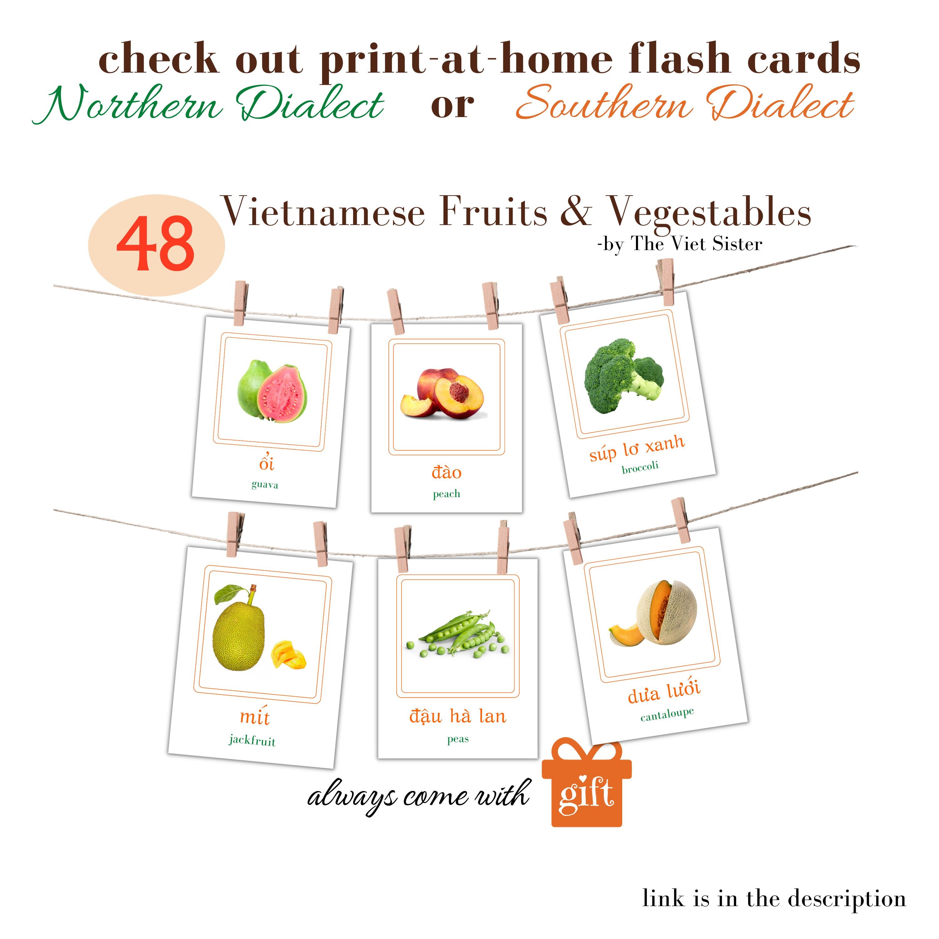 Vietnamese Learning Culture Bundle for Kids Printable Posters Numbers ...