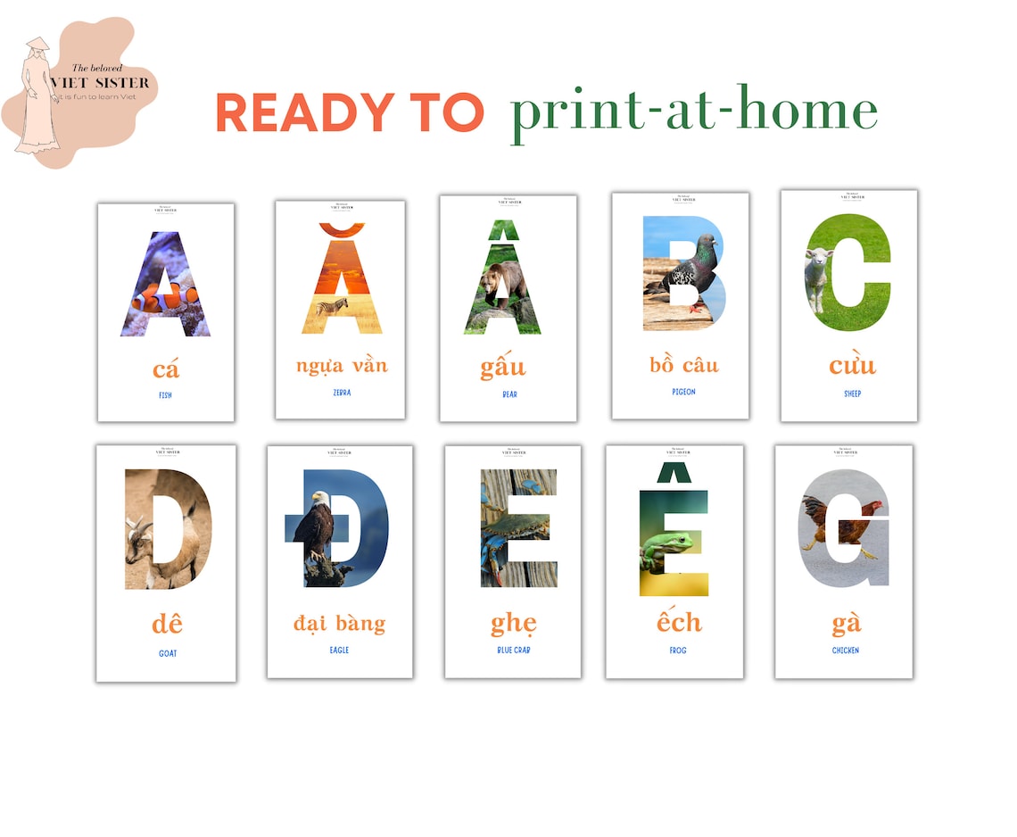 Vietnamese Alphabet Adventure: Printable Animal Alphabet With Real ...