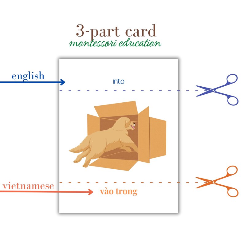 Printable Vietnamese Preposition Cards for Kids Montessori Bilingual ...