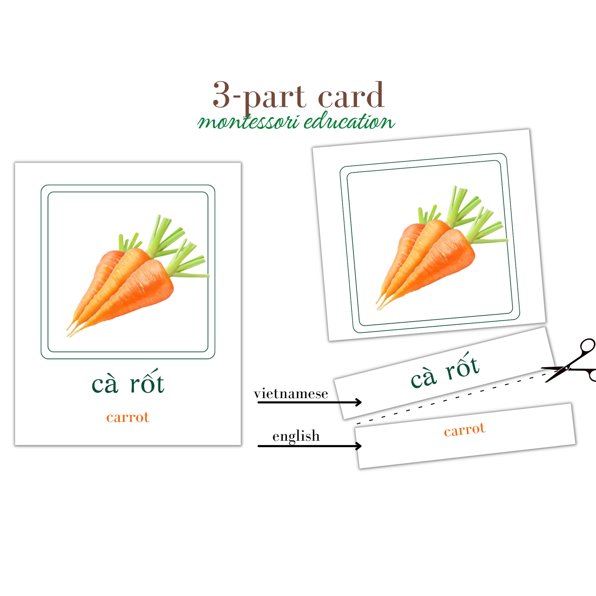 Northern Vietnamese Dialect Fruits and Vegetable Flash Cards. Learning ...