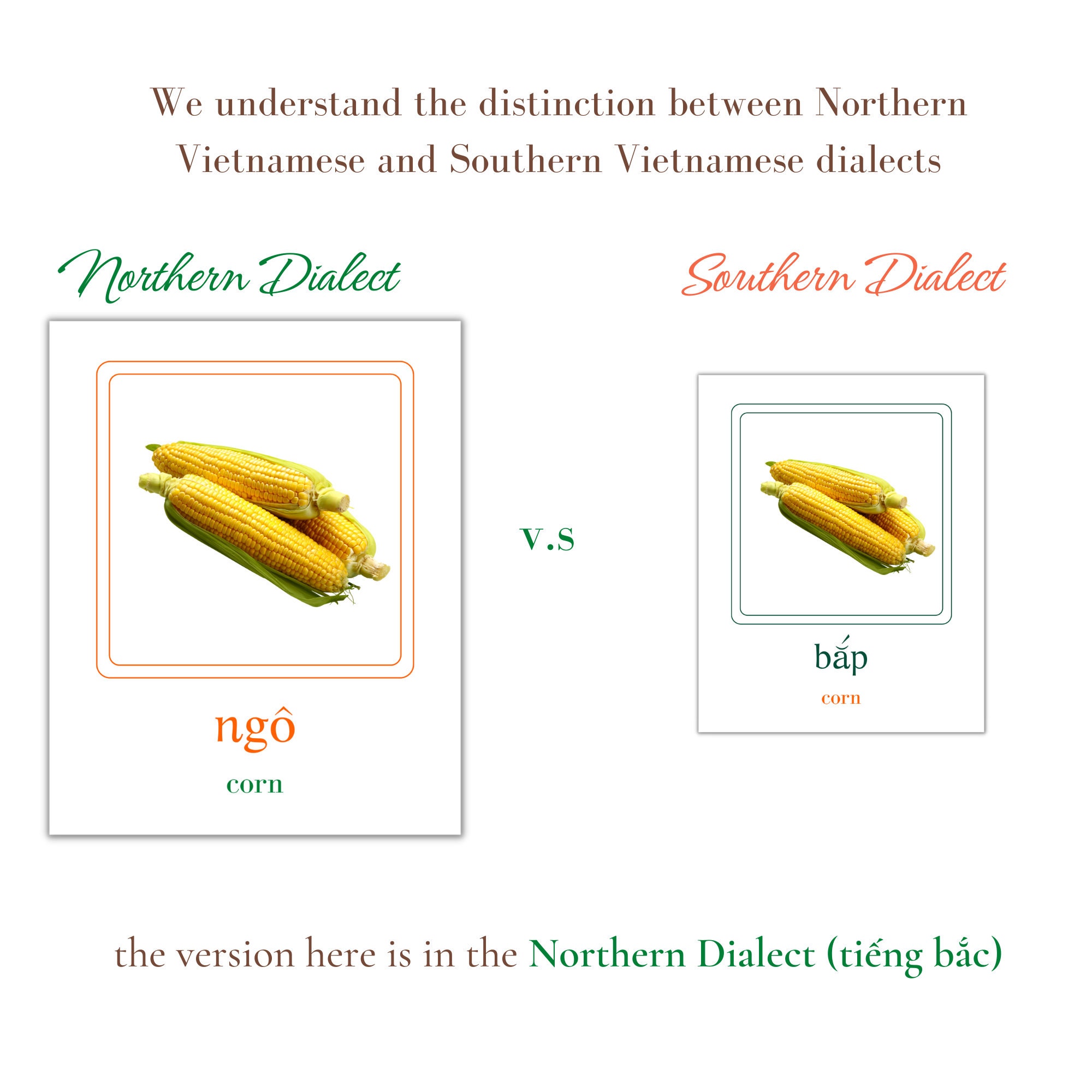 Northern Vietnamese Dialect Fruits and Vegetable Flash Cards. Learning ...