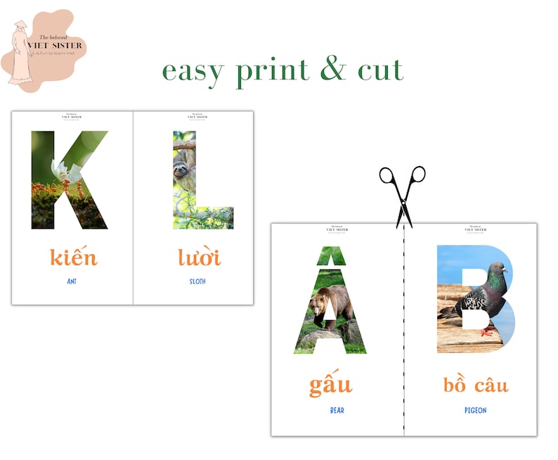 Vietnamese Alphabet Safari: Printable Animal Educational Alphabet With ...