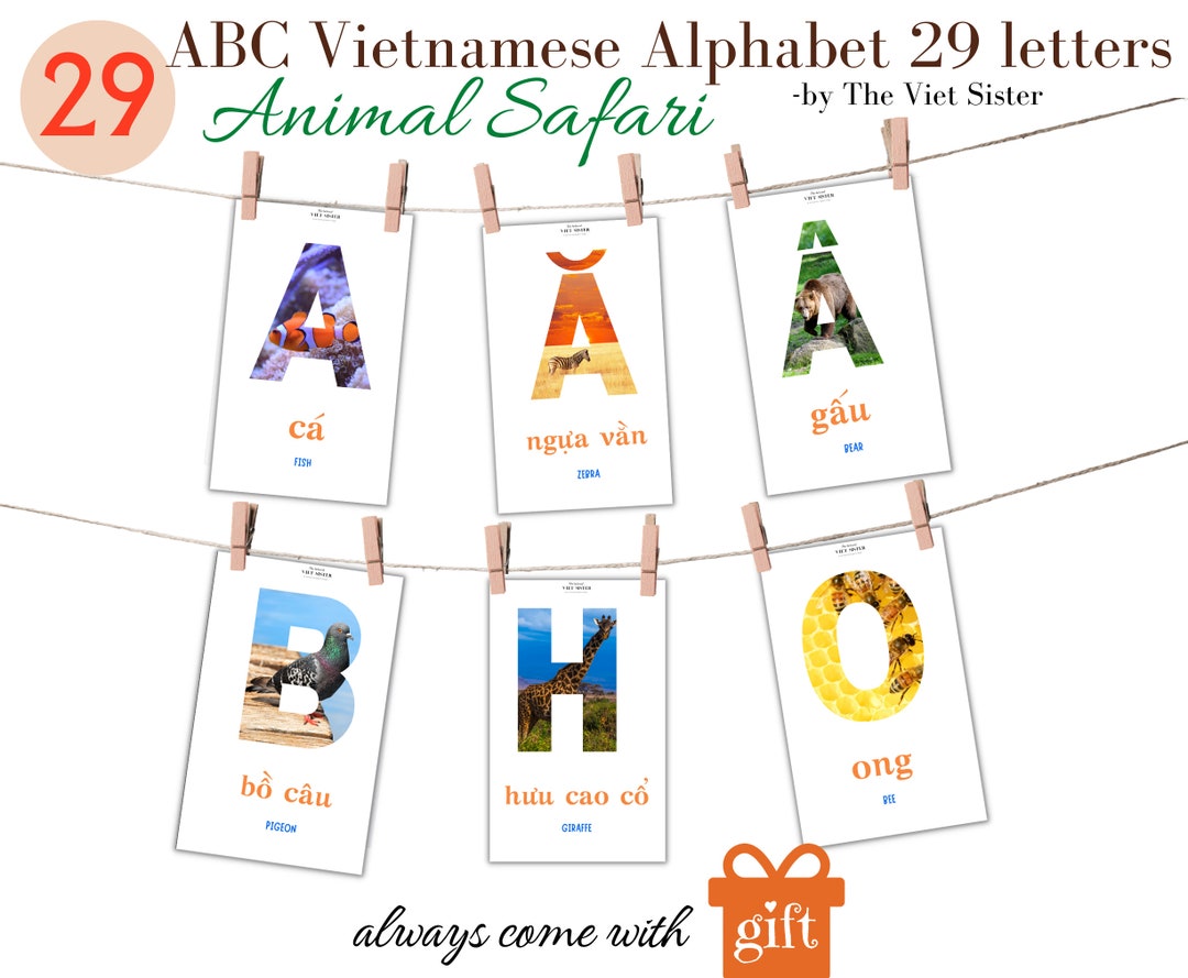 Vietnamese Alphabet Adventure: Printable Animal Alphabet With Real ...