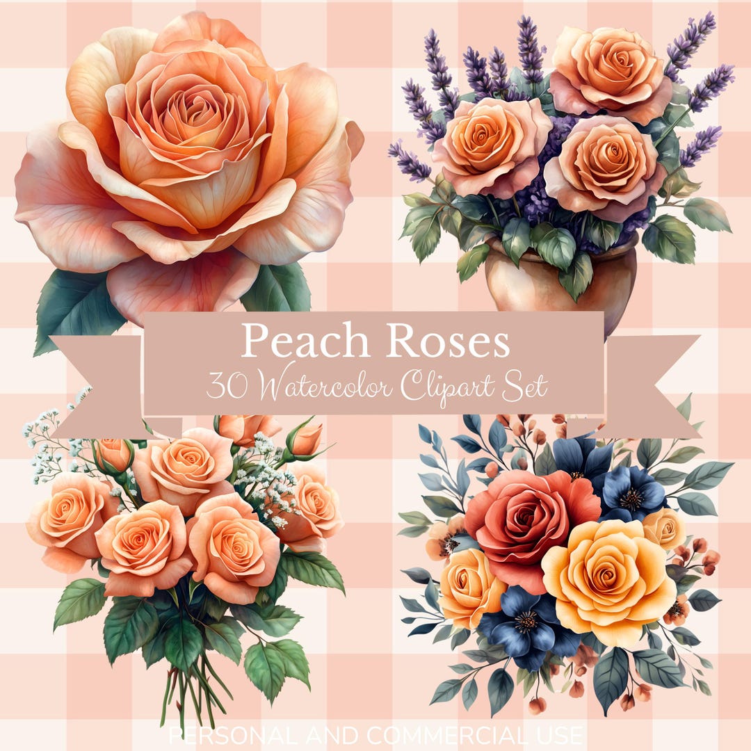 Peach Roses Watercolor Clipart Set | PNG | Instant Download ...