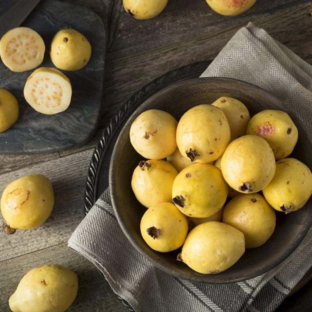 20+ Seeds | Yellow Lemon Guava Seeds, Tropical Fruit Tree, Sweet Tart ...