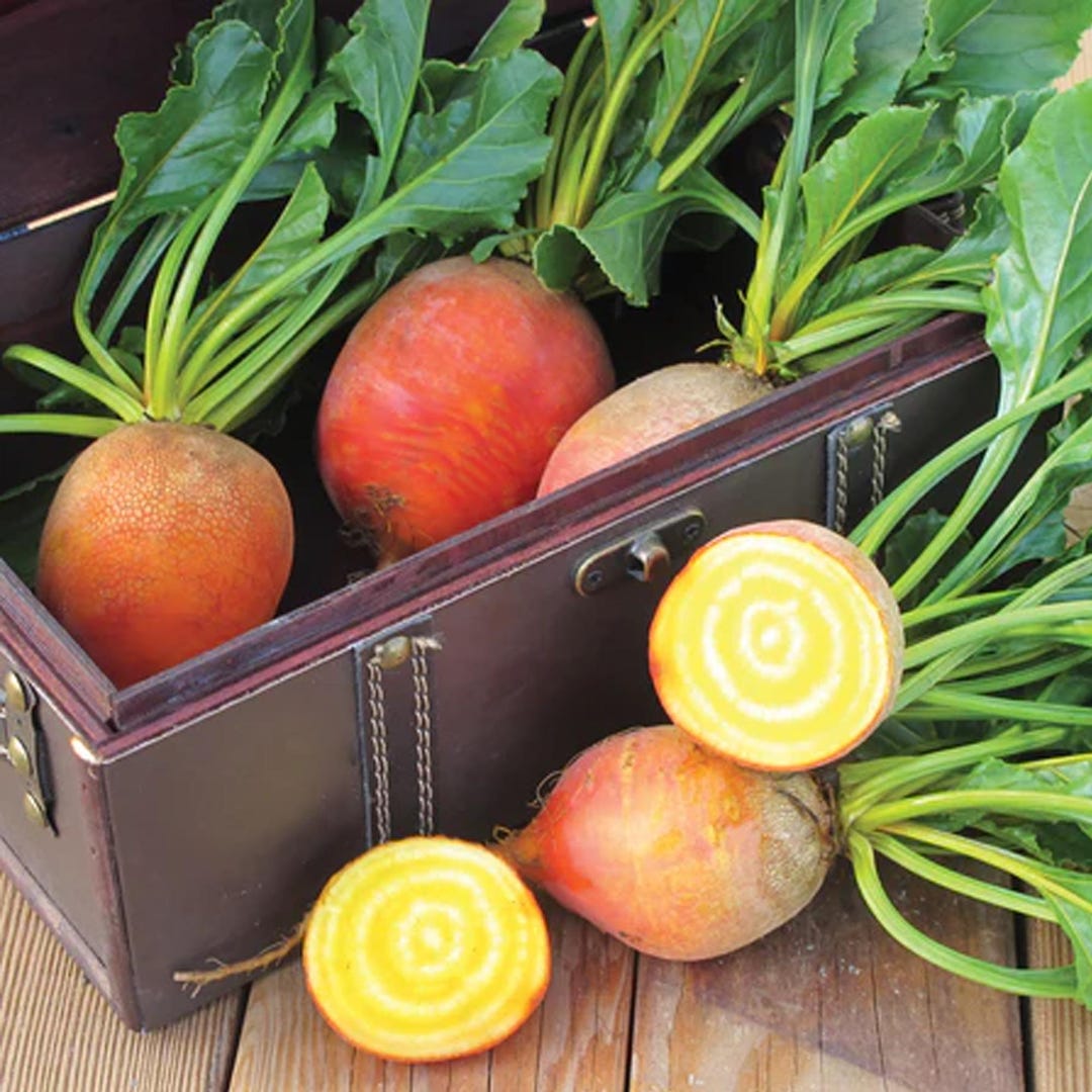 30 Seeds | Touchstone Gold Beet Seeds, Sweet Golden Beets, Non-gmo Root ...