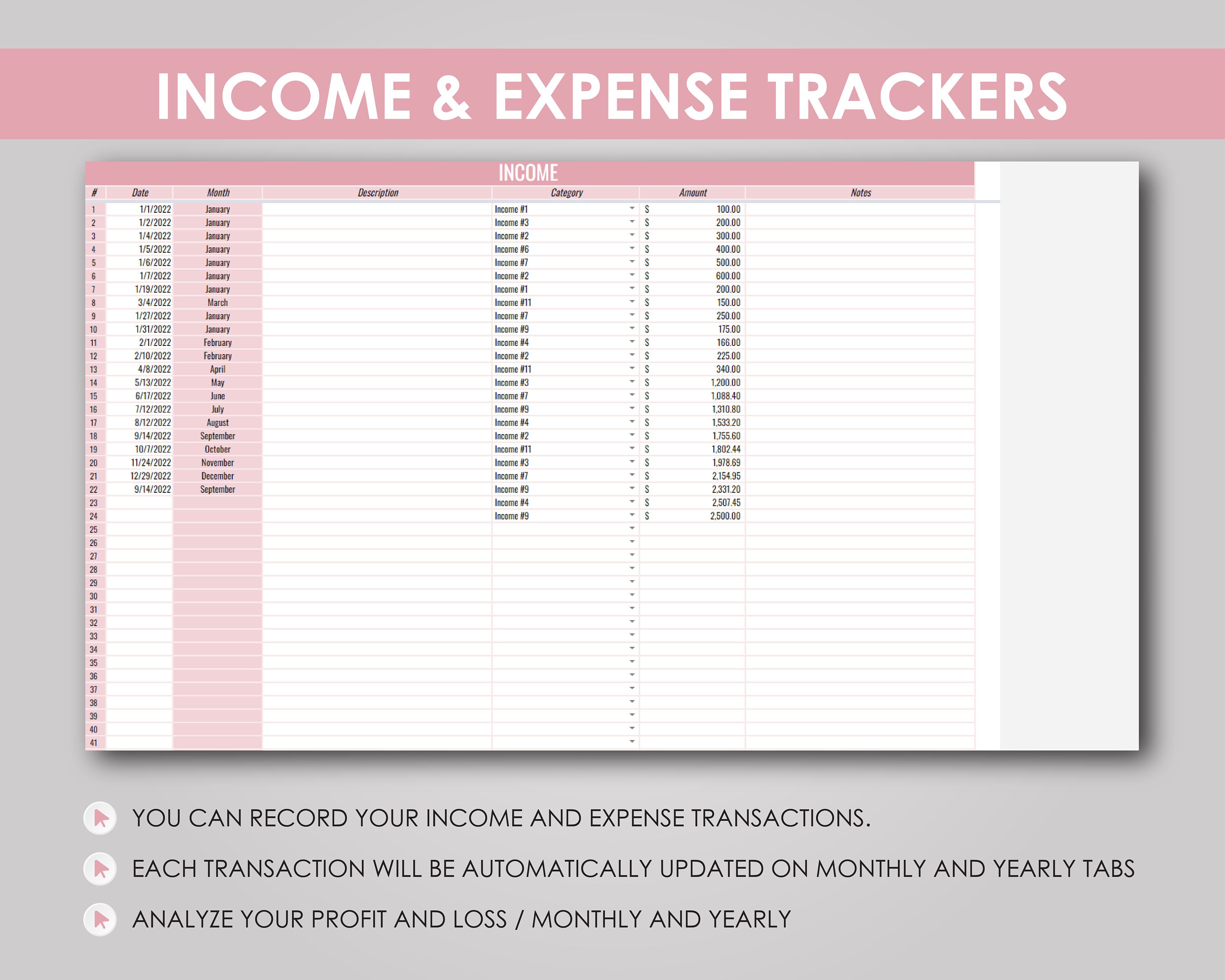 Income and Expense Tracker Business Tracker Google Sheets - Etsy