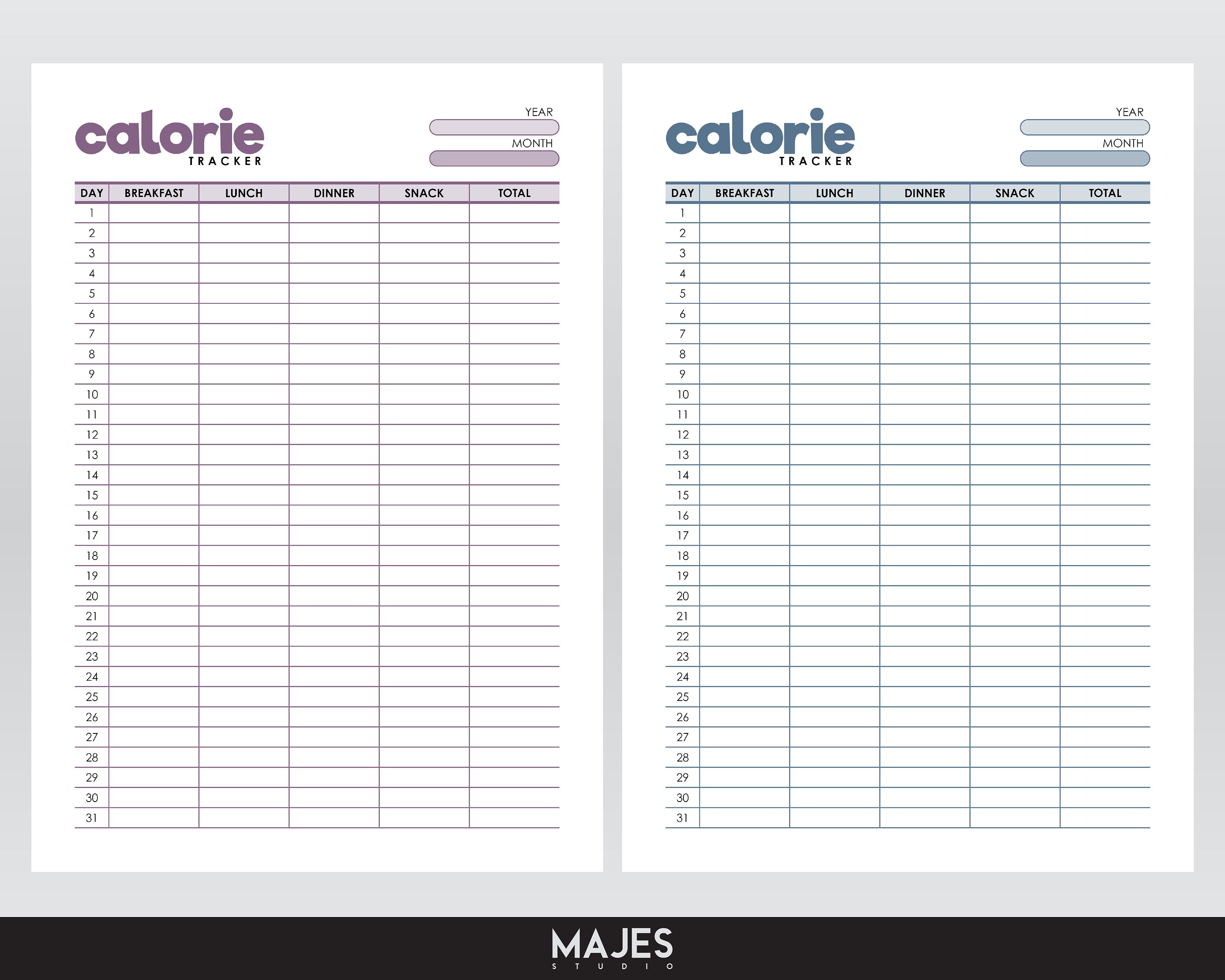 Calorie Tracker, Calorie Chart, Slimming World, Calorie Counting ...