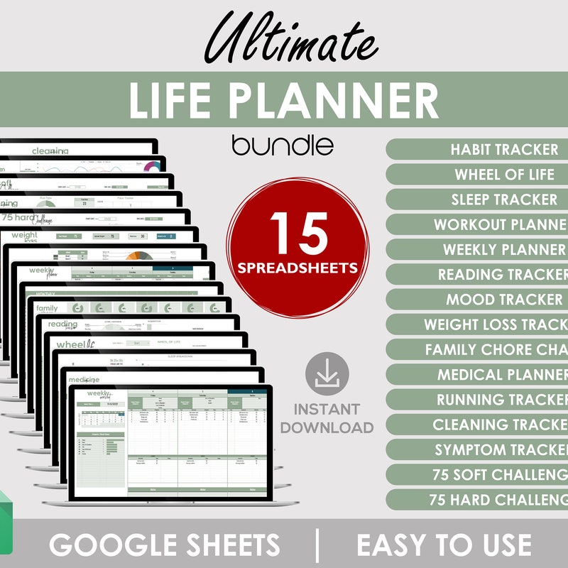 Wheel of Life Excel - Etsy