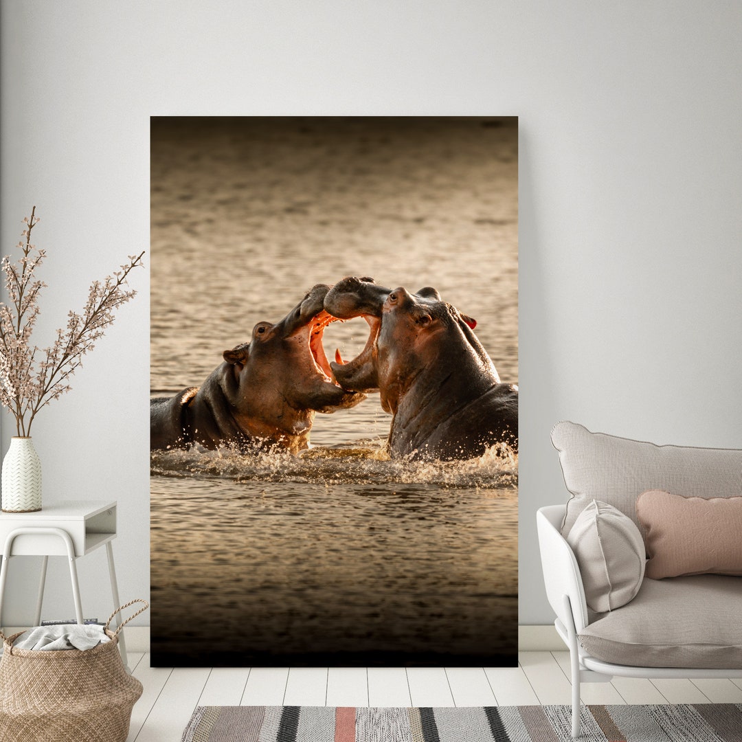 Hippos Wall Fine Art Decor Africa Canvas Wildlife Canvas - Etsy