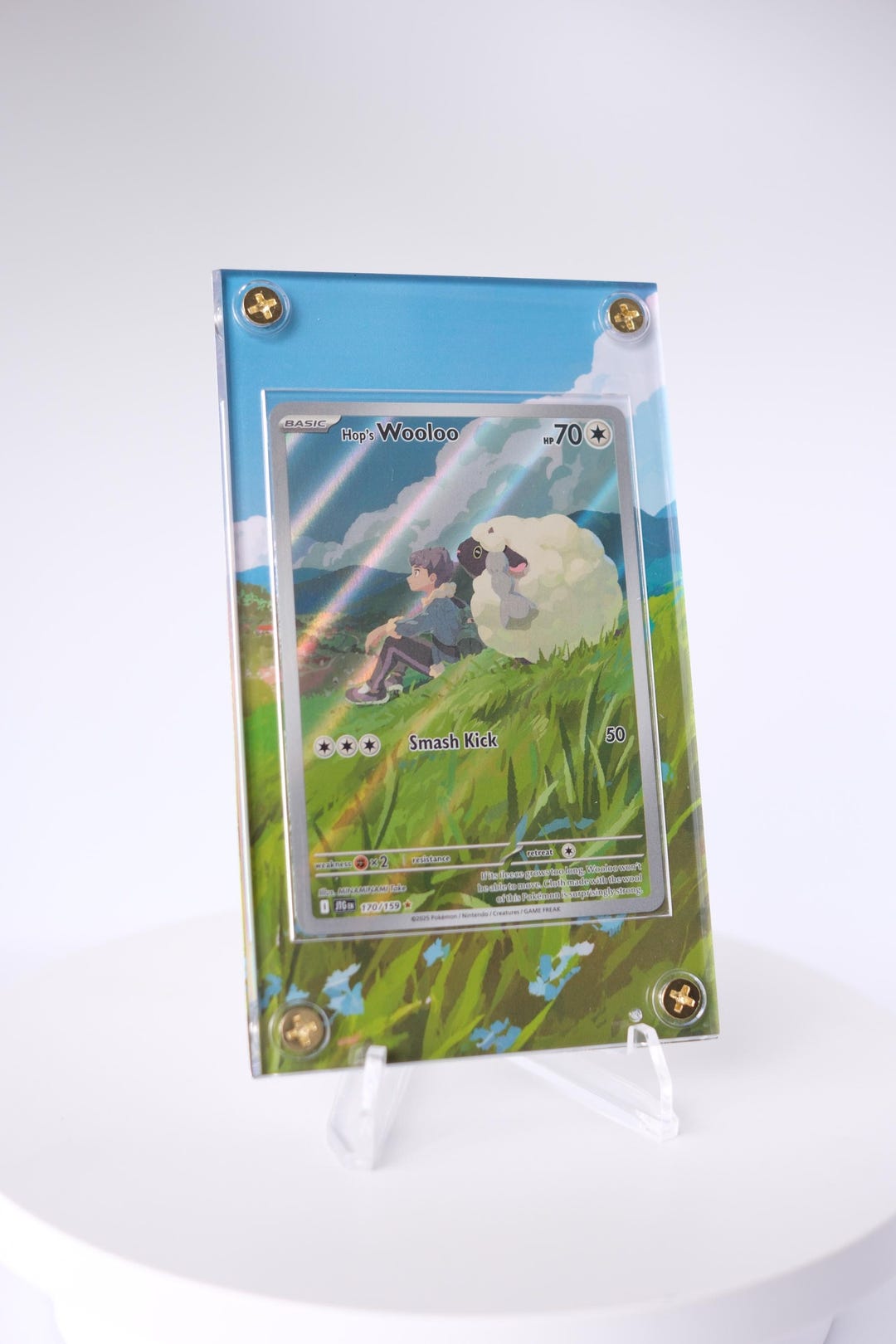 Extended Art Card Frame for Trading Cards | Display Case for Custom TCG ...