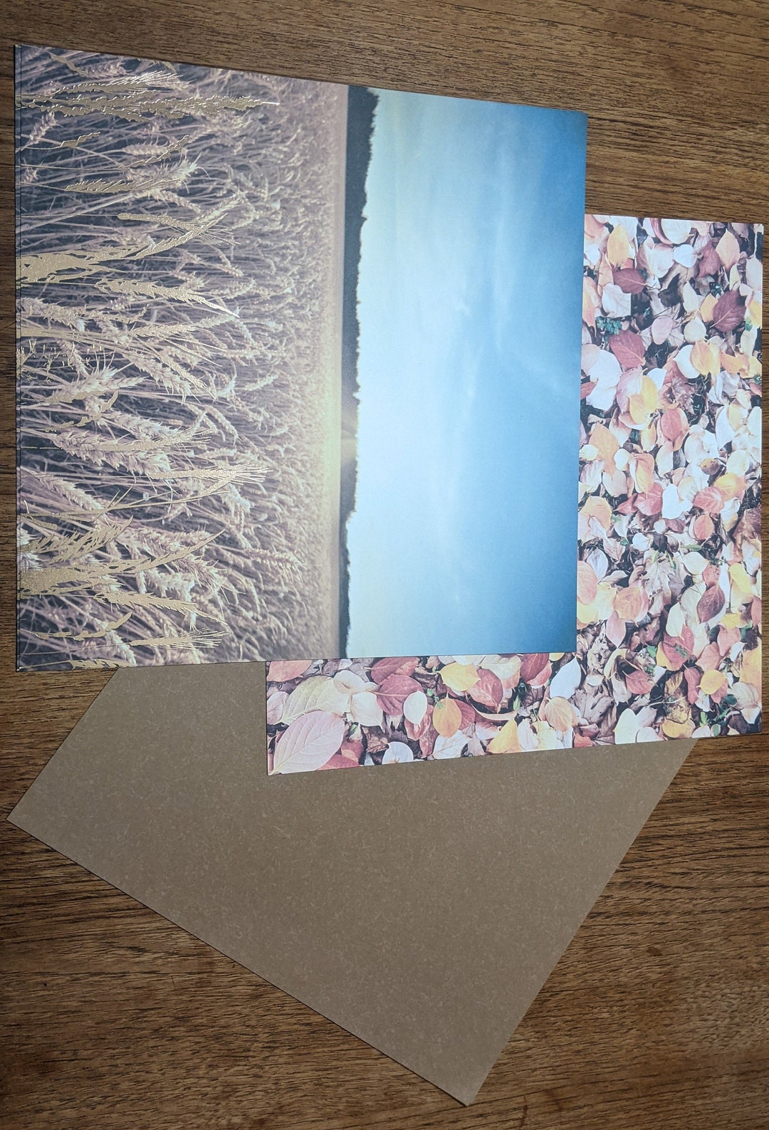 6pc 12 X 12 Fall Cardstock Sheets - Etsy