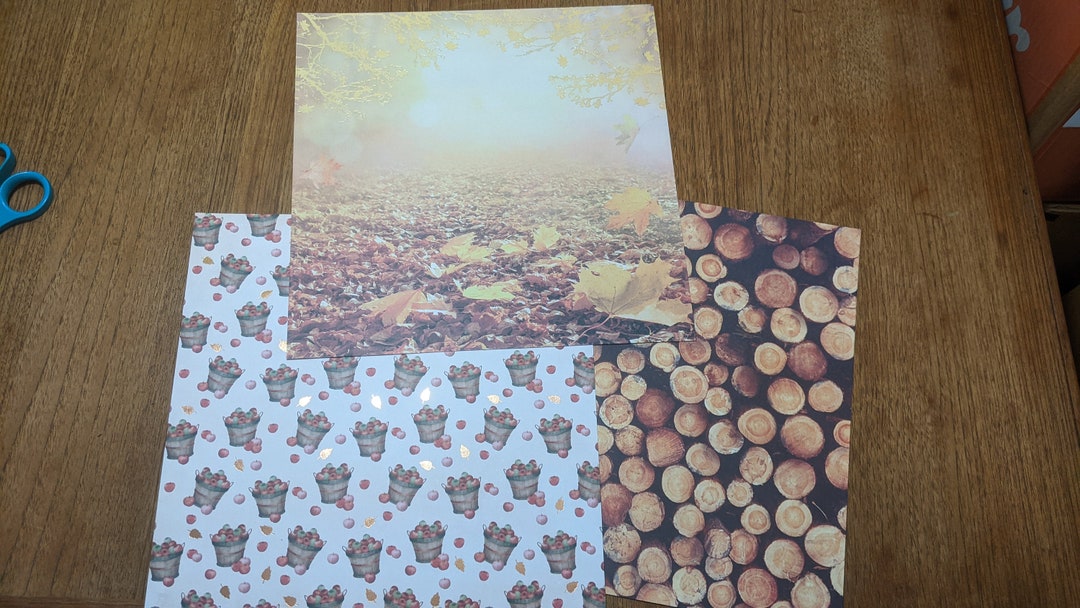 6pc 12 X 12 Fall Cardstock, Apple Barrel, Log, Leaves Motifs - Etsy