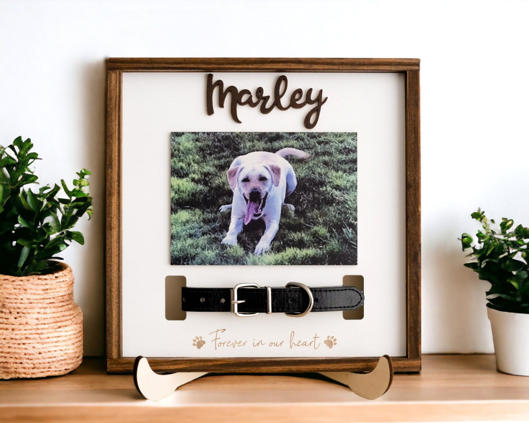 Pet Memorial Collar Holder, Personalized Gift, Pet Collar Frame, Dog ...