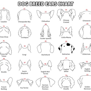 Custom Dog Ear Sign, Pet Loss Gift, Dog Ear Art, Personalized Gift, Dog ...