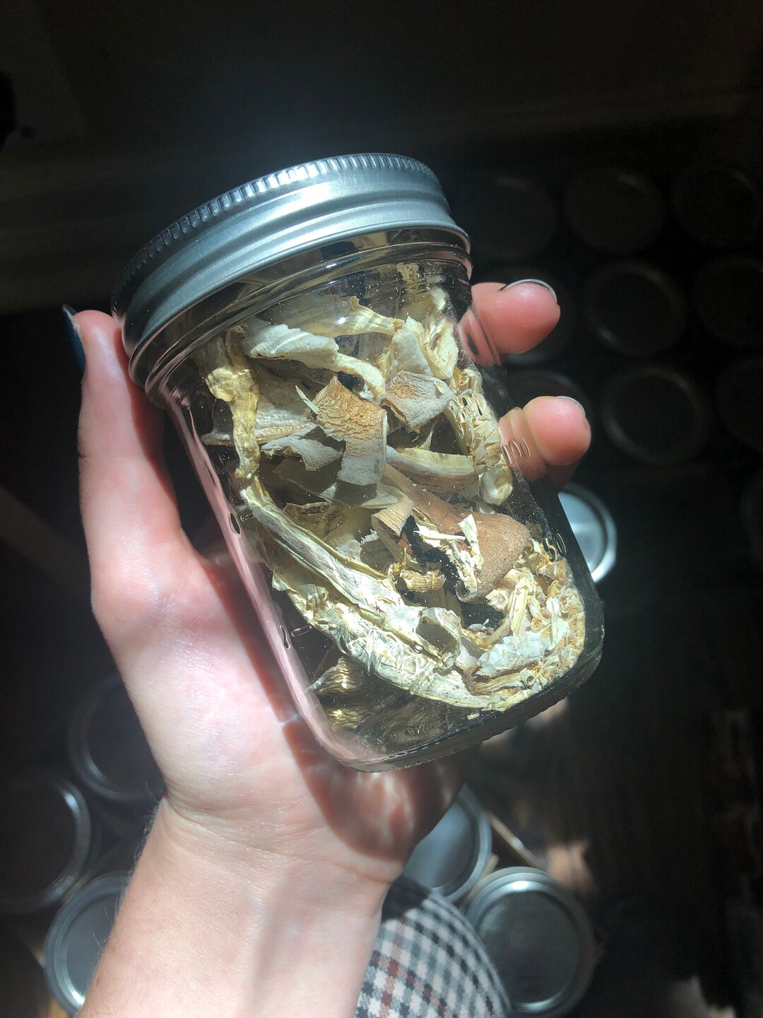 Dried Oyster Mushrooms 1/2 Oz - Etsy
