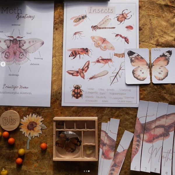 Spring Unit Study - Etsy