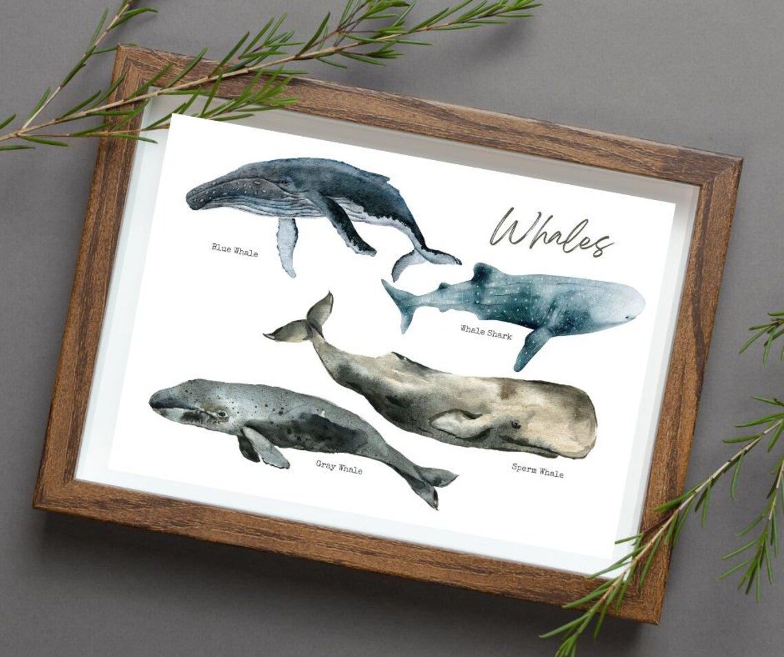 Whale Poster - DIGITAL DOWNLOAD - Custom Sizing - Etsy