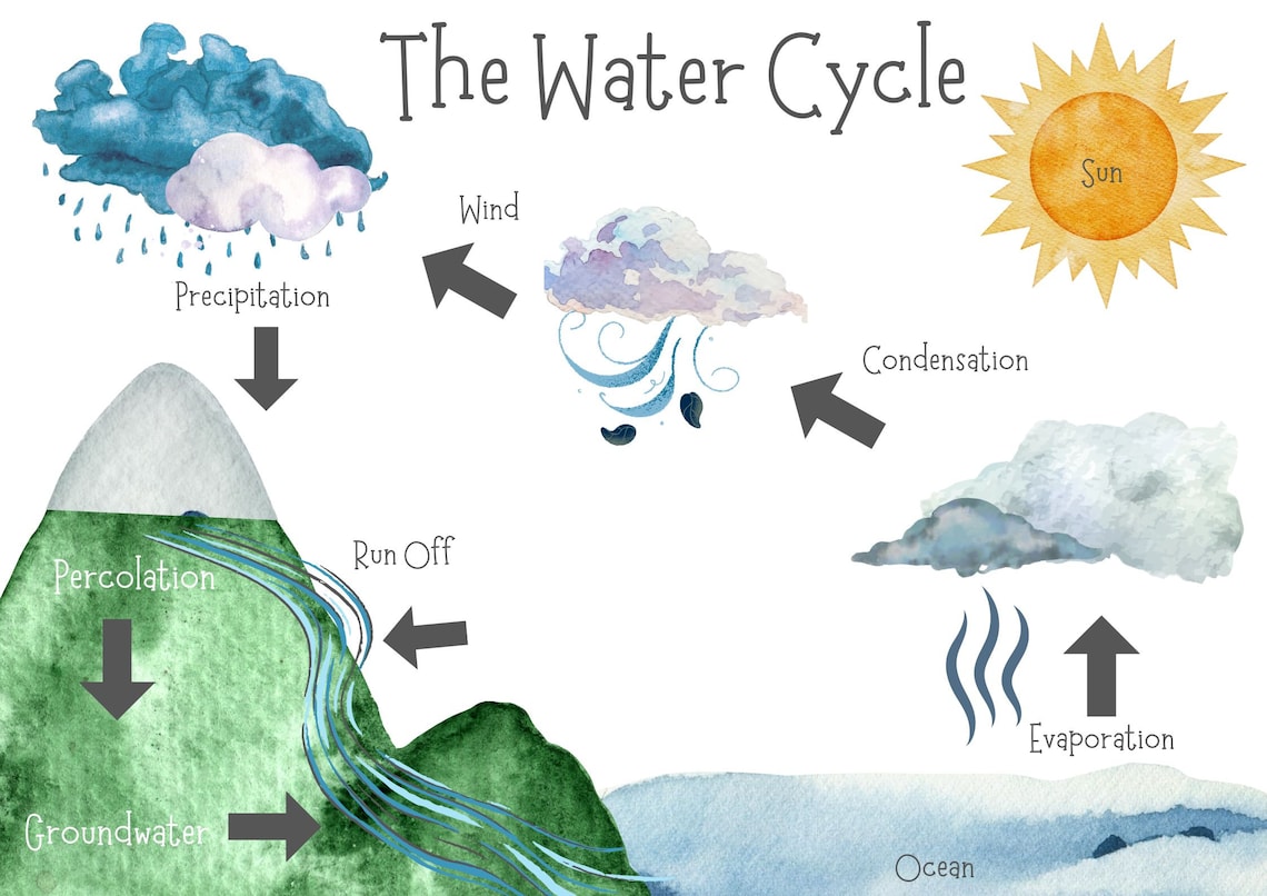 The Water Cycle Posters Freebie Over at Our Website - Etsy