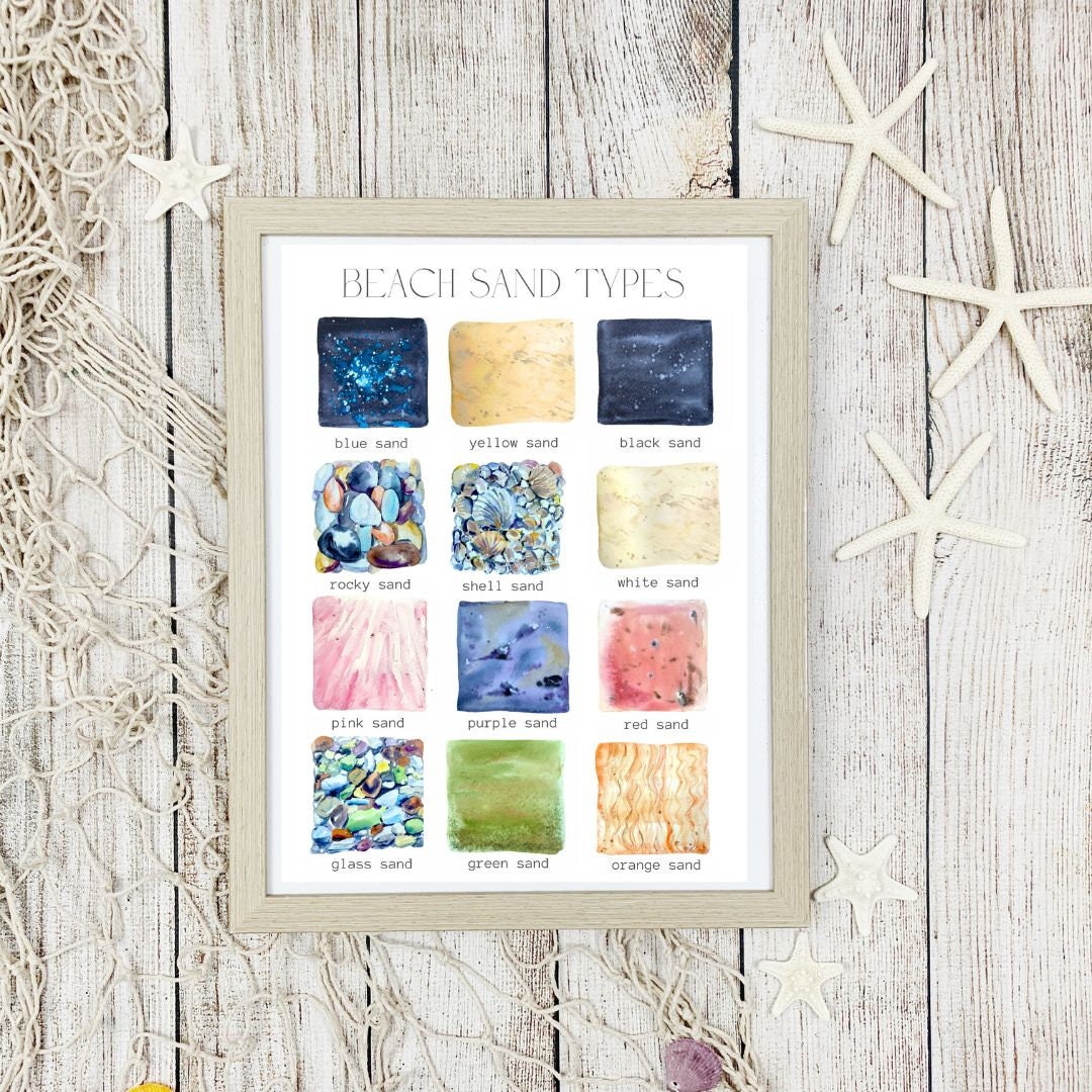 Beach Sand Types Poster and Flash Card Pack - Morning Basket - Etsy
