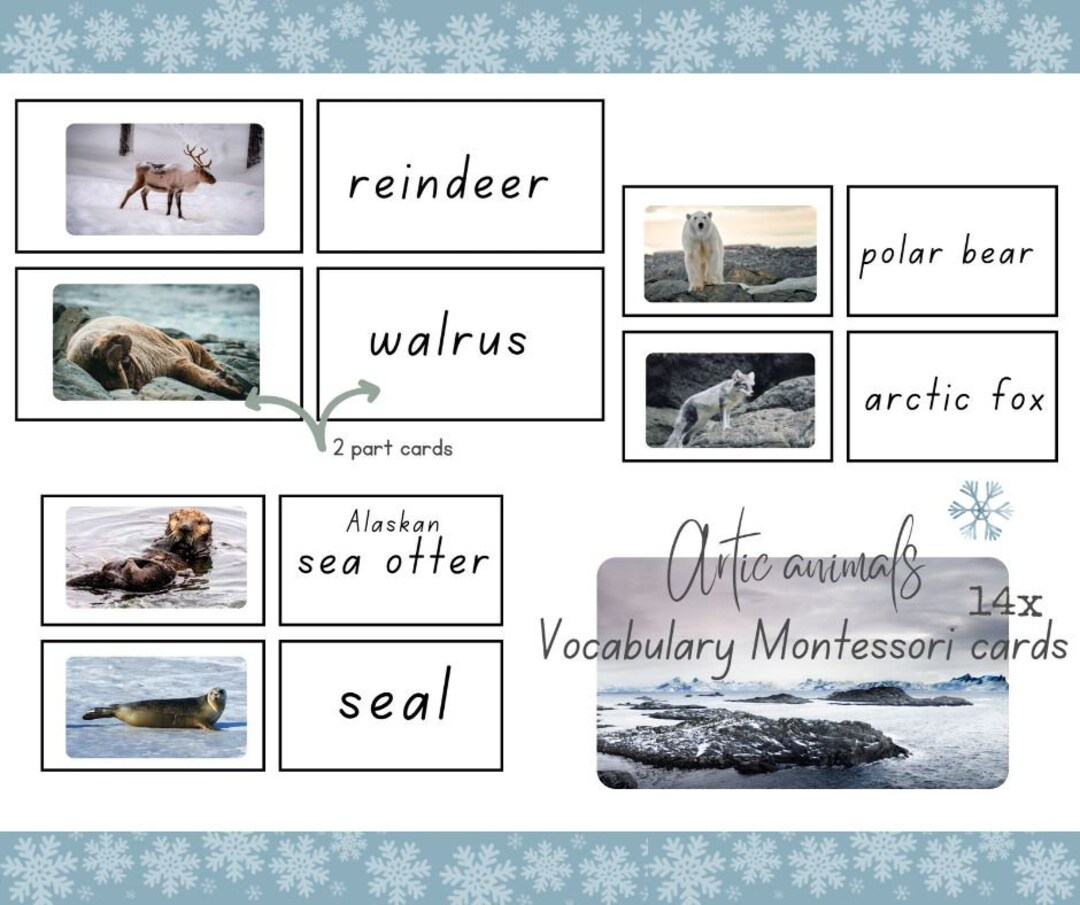 Reggio Inspired ARTIC ANIMAL Flash Cards | VOCABULARY - Etsy